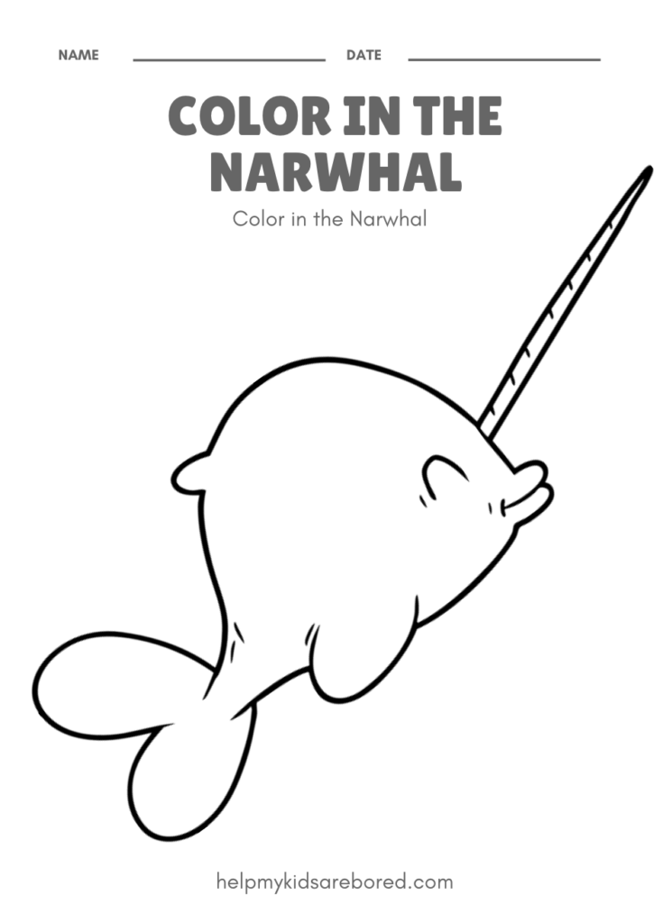Narwhal Printable Kids activity sheets for Middle School Kids - Help My ...